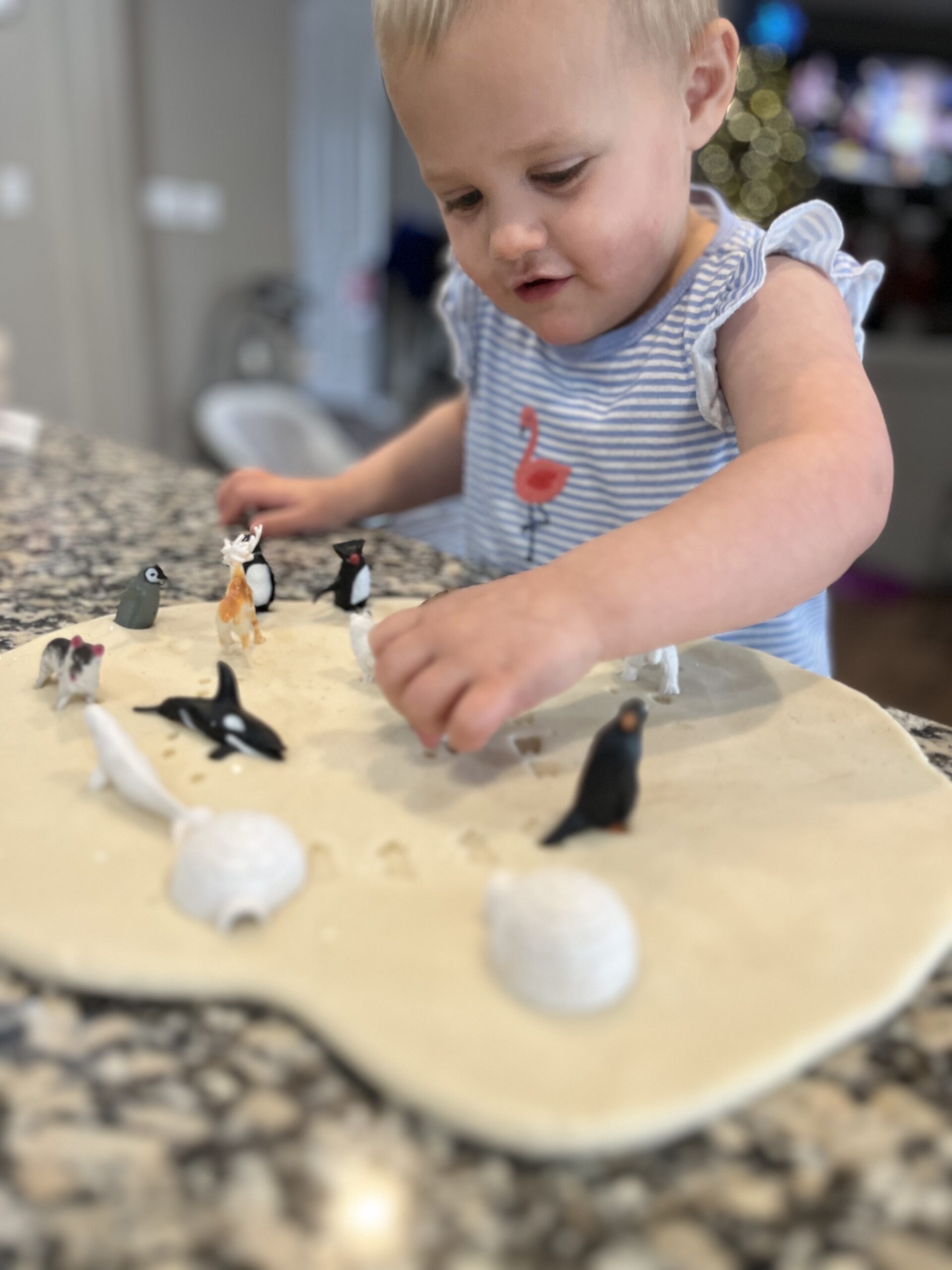 At Home Adventures: Arctic Inspired Activities for Kids