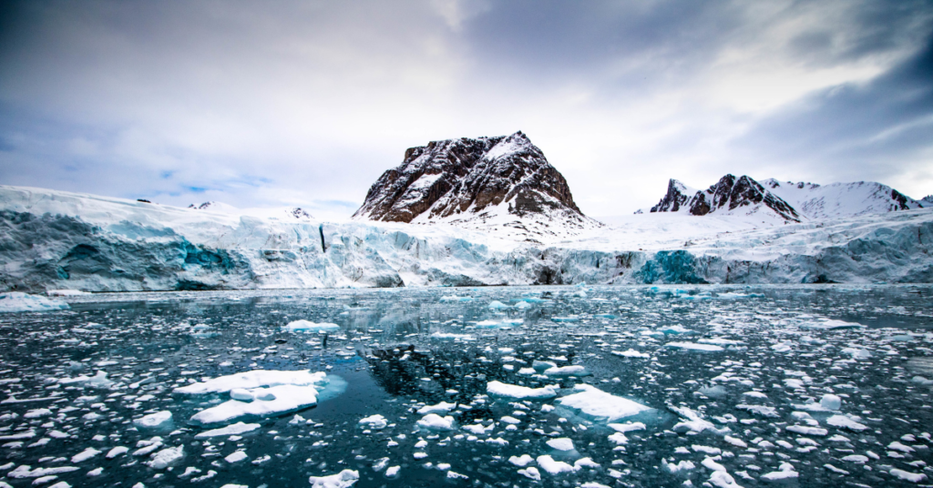 At Home Adventures: Arctic Inspired Activities for Kids